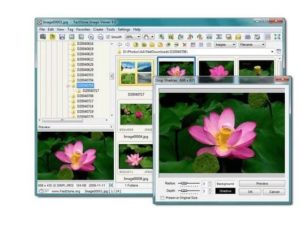 The Best Photo Viewer for Windows 10: 8 Apps Compared