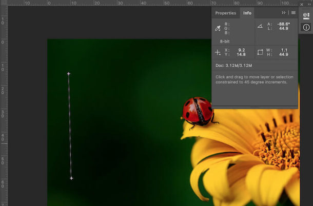 How to Measure Distance in Photoshop
