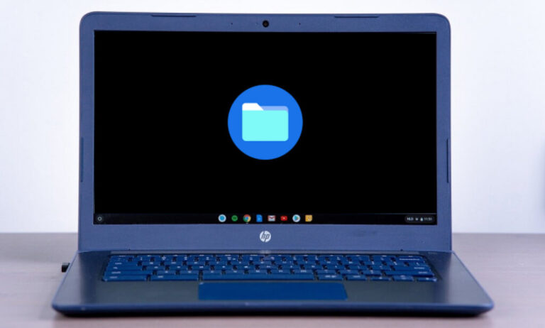 Google Drive Not Working on Chromebook? 11 Ways to Fix