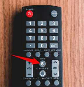 How to Fix It When Roku Has No Sound