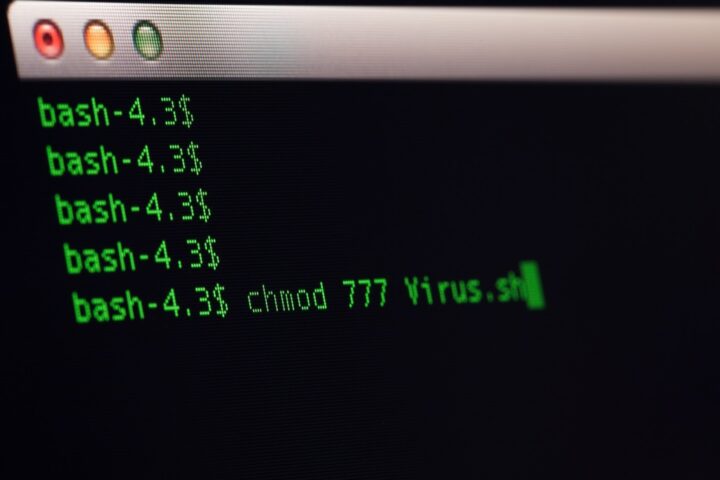 Linux File Permissions – What Is Chmod 777 and How to Use It