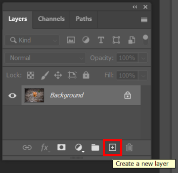 How To Add a Border in Photoshop