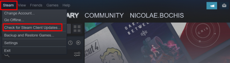 FIX: Can’t Connect to Steam Network Error