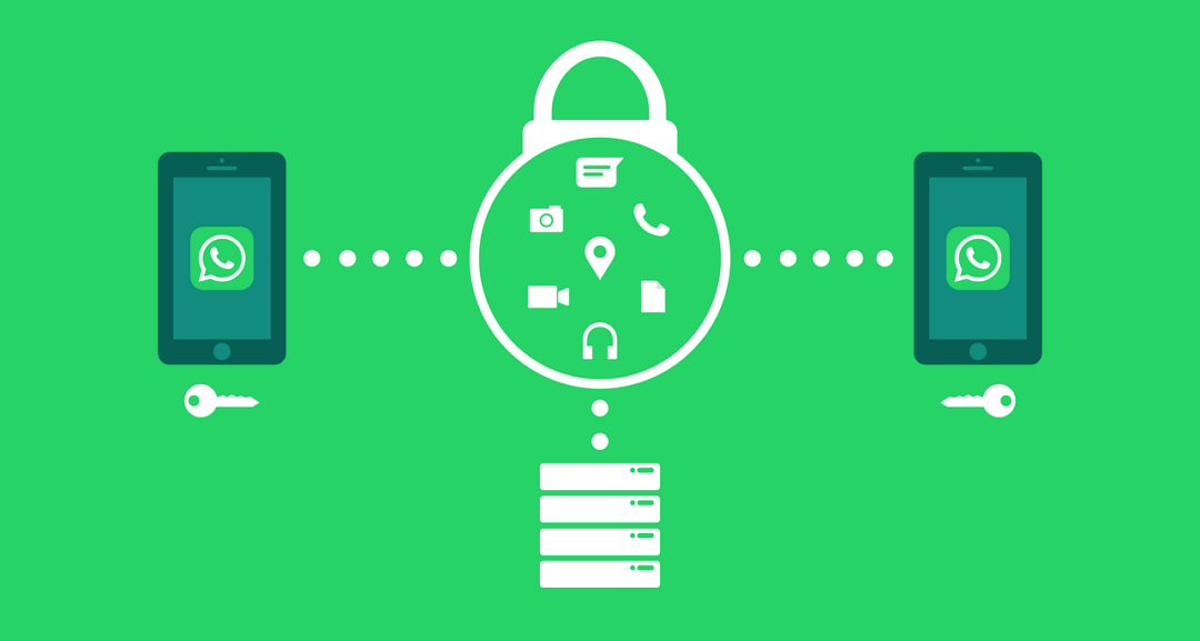 How to Backup Your WhatsApp Data on iPhone and Android