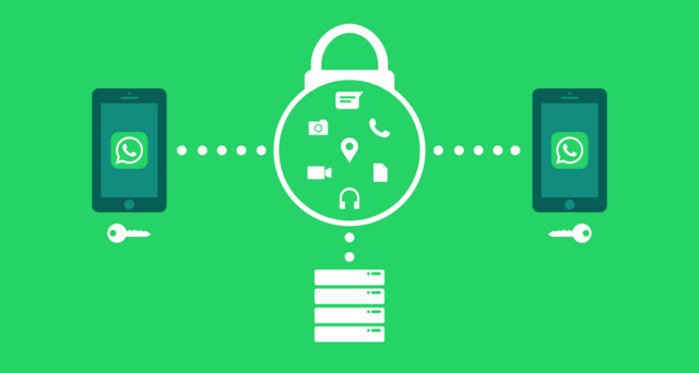 How to Backup Your WhatsApp Data on iPhone and Android