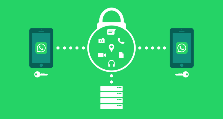 How to Backup Your WhatsApp Data on iPhone and Android