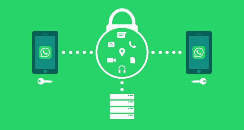 How to Backup Your WhatsApp Data on iPhone and Android