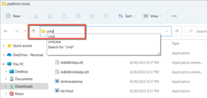 How to Downgrade Google Chrome to an Older Version