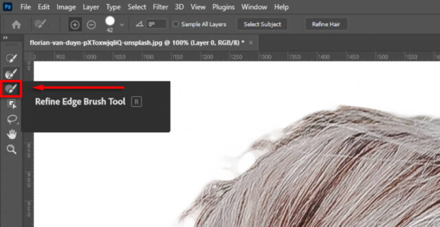 How to Remove Backgrounds, Objects, and More In Photoshop