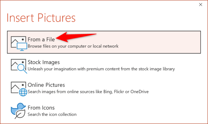 How to Insert a Picture in PowerPoint