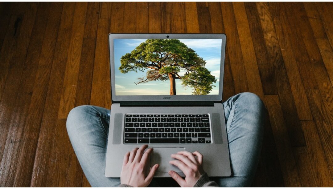 How to Change Your Chromebook’s Wallpaper (And Where to Find Fun ...
