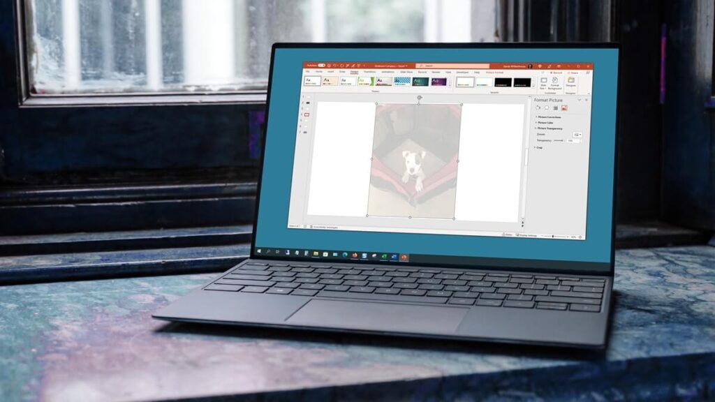 How to Make Pictures or Background Transparent in PowerPoint
