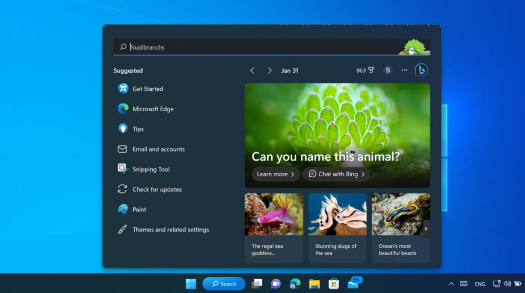 How to Enable or Turn Off Search Highlights in Windows 11