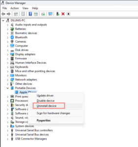 iPhone Not Showing Up in iTunes in Windows 11? 10 Fixes to Try